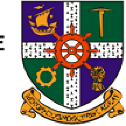 Executive Diploma in Enterprise Risk Management (EDERM)